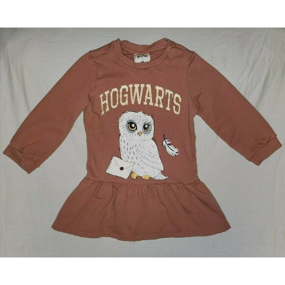 H&M | Dresses | Harry Potter X Hm Hogwarts Hedwig Dress 2t | Poshmark